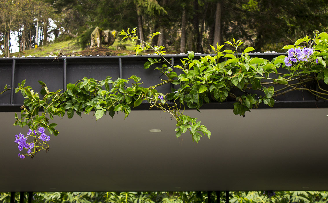 Productos - Capiro Vivero