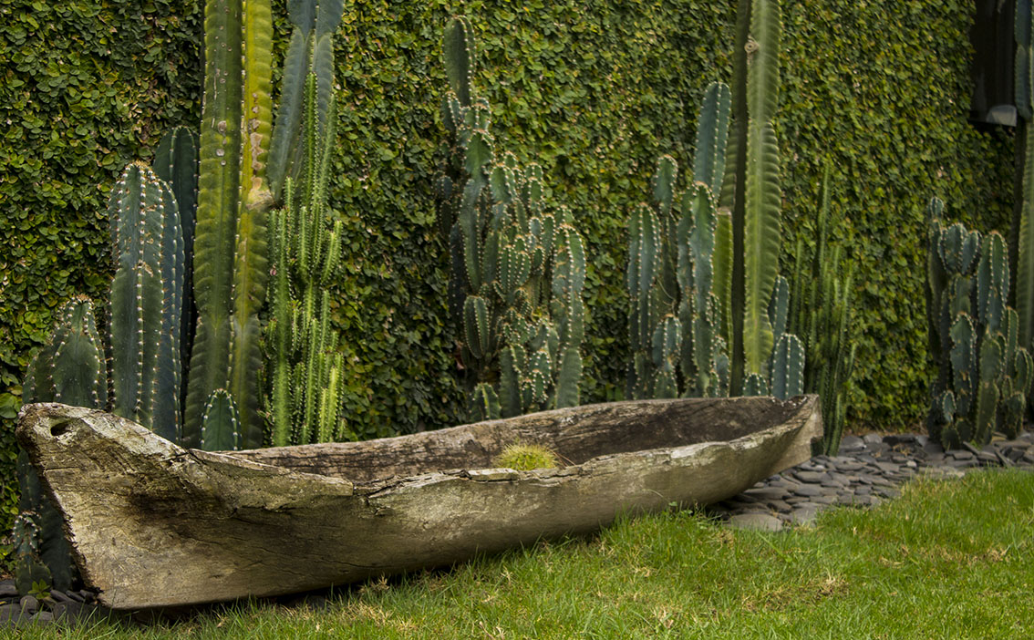 Productos - Capiro Vivero