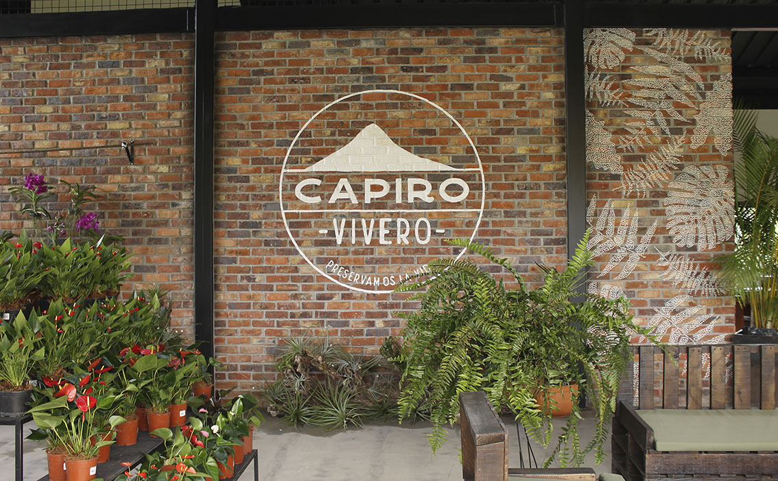Productos - Capiro Vivero