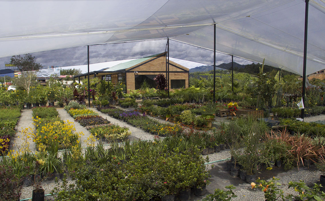 Productos - Capiro Vivero